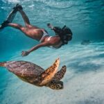 Private Rarotonga Turtle Tour - Who Should Book This Tour?
