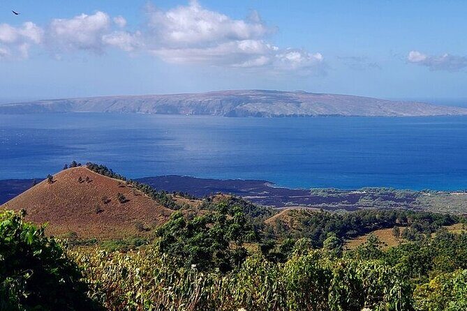 Private Redwood Forest Hiking Tour - Why Choose This Tour? Who Is It For?