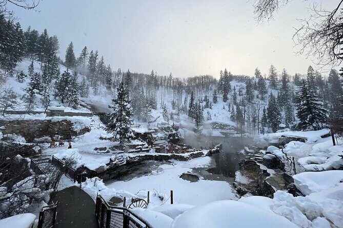 Private Ride Service in Steamboat Springs - User Experience & Authentic Insights (Based on Reviews)