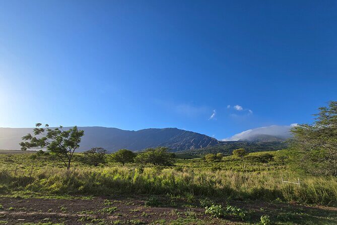 Private Road to Hana Tour with Pickup-Ultimate Package, Backside - What Makes This Tour Special?