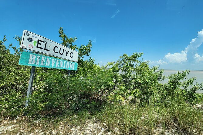 Private Roundtrip Transfer to "El Cuyo Yucatan" - The Value of This Transfer Service