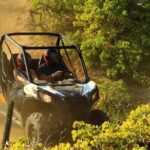 Private RZR tour, handmade quesadillas and Pacific Arch! - Why This Tour Stands Out