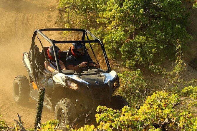 Private RZR tour, handmade quesadillas and Pacific Arch! - Why This Tour Stands Out