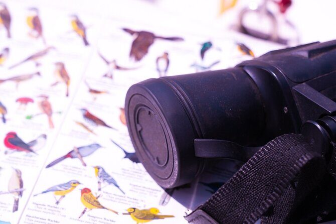 Private Sailing Adventure in Bacalar - Practical Tips for Your Booking