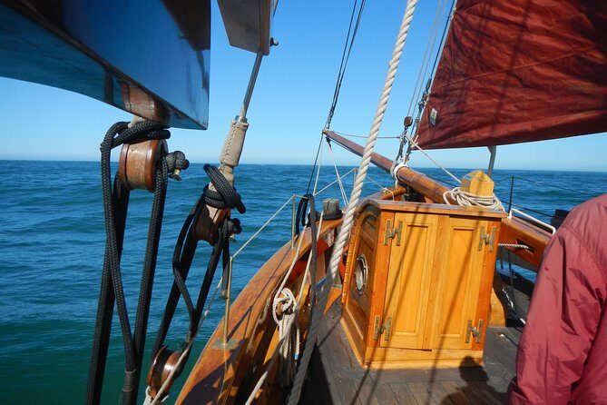 Private Sailing Tour -2 Hour (Up to 12 Passengers) - Pricing & Value