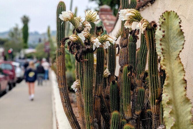 Private Scavenger Hunt in San Juan Capistrano Tour - Practical Details and Tips