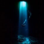 Private Scuba Diving in Cenote around Playa del Carmen - Why This Tour Stands Out
