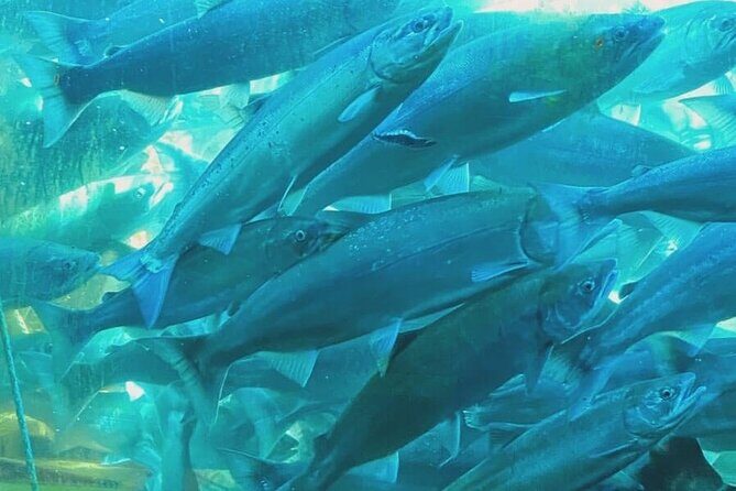 Private Seattle History and Landmarks Tour - The Value of a Private, Customizable Tour