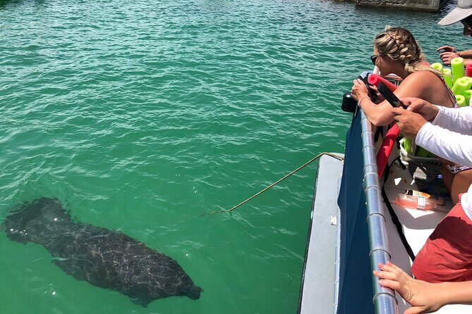 Private Shell Key Island Adventure Dolphins And Shells - Who This Tour Is Best For