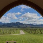 Private Shore Excursion: Explore Marlborough from Picton - Who Is This Tour Best For?