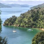 Private Shore Excursion from Picton: Marlborough Highlights - Exploring the Marlborough Region in Style