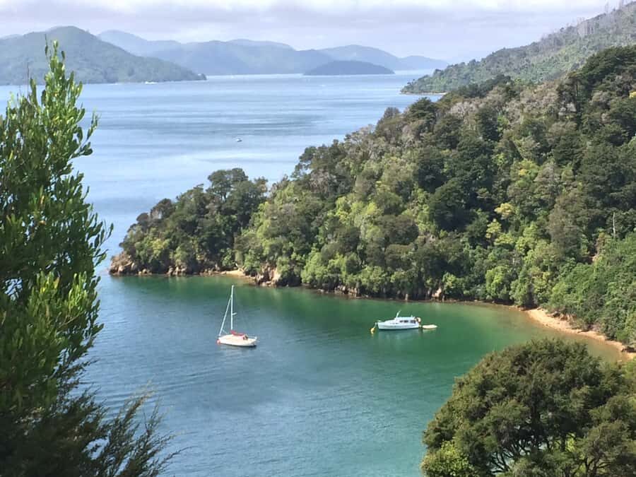 Private Shore Excursion from Picton: Marlborough Highlights - Exploring the Marlborough Region in Style