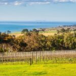 Private Shore Tour: Bellarine Peninsula Wine Experience - Exploring the Bellarine Peninsula Wine Experience