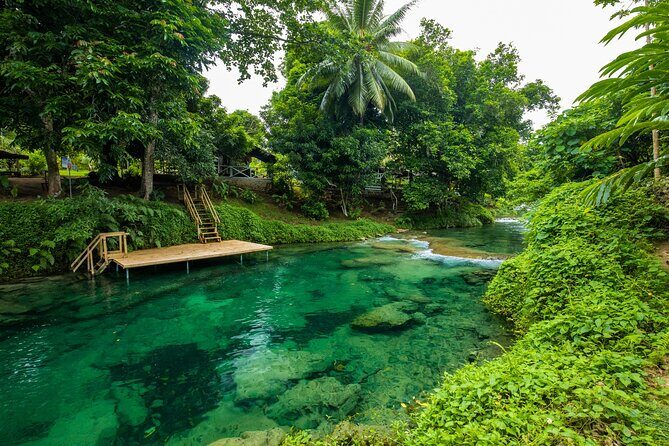 Private Shore Tour: Explore, Discover & Indulge in Port Vila - Authentic Insights from Reviews