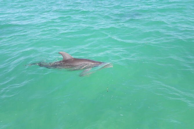 Private Sian Kaan Biosphere Tour - Final Thoughts on Value and Who It’s Best For