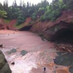 Private Sightseeing Tour In Saint John - Who Is This Tour Best For?