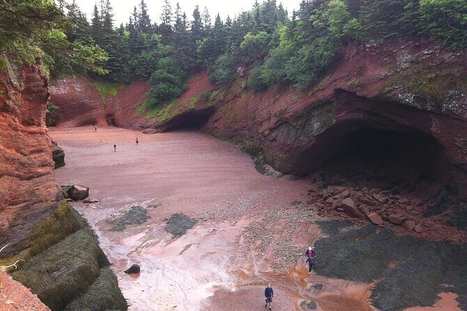 Private Sightseeing Tour In Saint John - Who Is This Tour Best For?