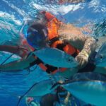 Private Sky Snorkeling Tour - The Experience from the Guides’ Perspective