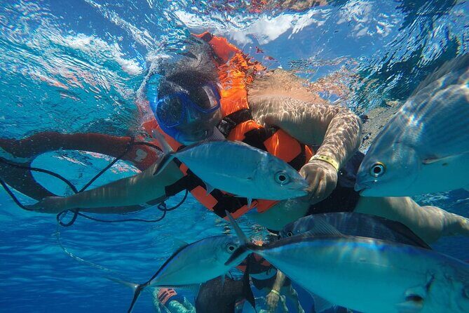 Private Sky Snorkeling Tour - The Experience from the Guides’ Perspective