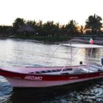 Private Snorkel Tour On The Reef Lagoon - What to Expect from the Guides and Equipment