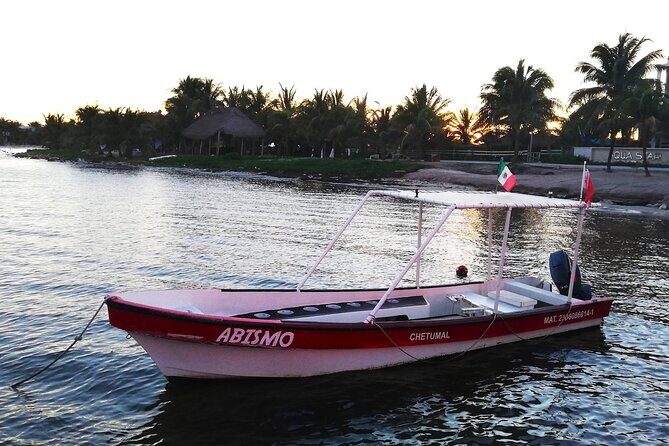 Private Snorkel Tour On The Reef Lagoon - What to Expect from the Guides and Equipment
