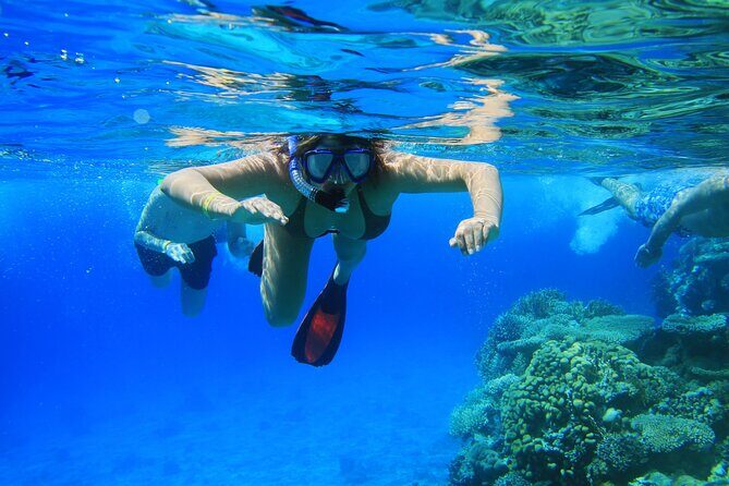 Private Snorkeling Activity in Key Largo - Who Should Consider This Tour?