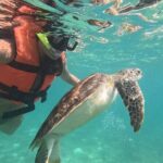 Private Snorkeling with Sea Turtles in Akumal Beach - Why This Tour Works