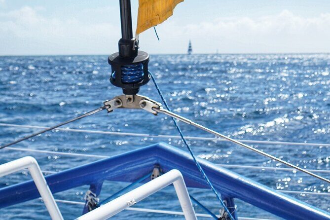 Private South Shore Sail Charter - Who is This Tour Best For?