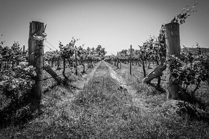 Private Southern Highlands Luxury Wine Indulgence Tour - Bowral: The Heart of the Region