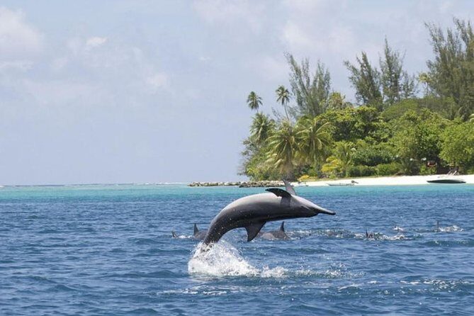 Private Speed Boat Charter with Experienced Captain - The Practicalities and Planning Tips