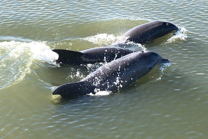 Private Sunset BYOB Boat Ride on Southern Charm - Pricing and Value