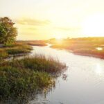 Private Sunset Cruise in Savannah's Low Country - Meeting Point and Timing