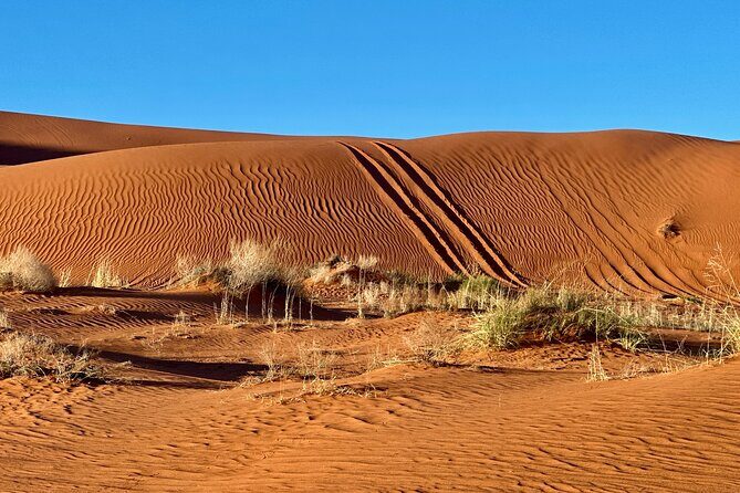 Private Sunset Jeep Ride to Sand Mountain - Why This Tour Is a Great Choice