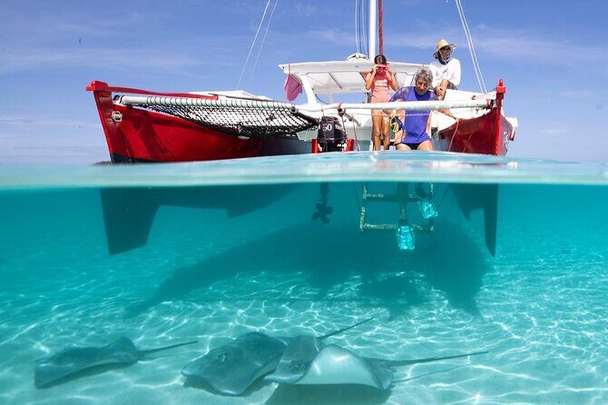 PRIVATE Sunset Tour: Moorea Snorkeling on a Catamaran named Taboo - What Travelers Say