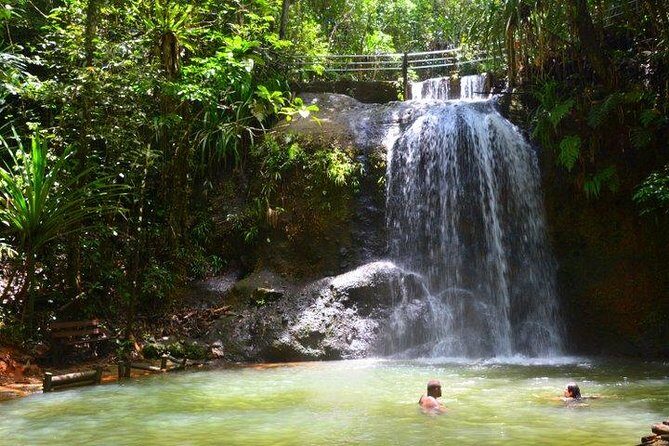 Private Suva Nature and Waterfall Tour - The Experience of a Private Guide