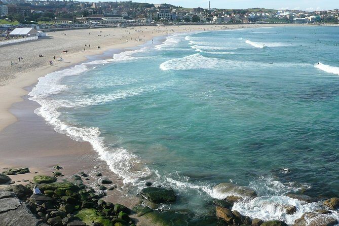 Private Sydney City Tour: The Key Attractions - What Sets This Tour Apart