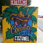 Private Tacos and Bar Hopping Tour in Cozumel - Who Will Love This Tour?
