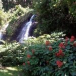 private Tahiti island discovery - Transportation and Flexibility