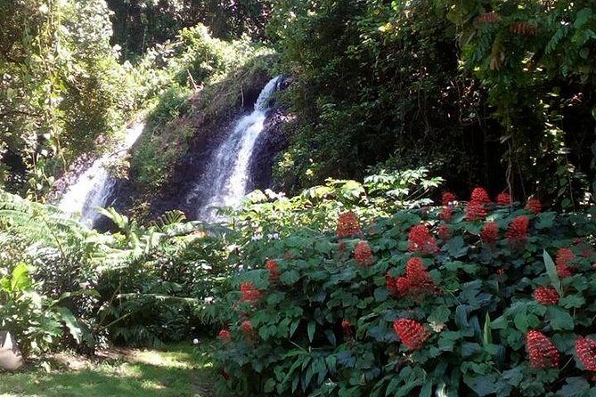 private Tahiti island discovery - Transportation and Flexibility