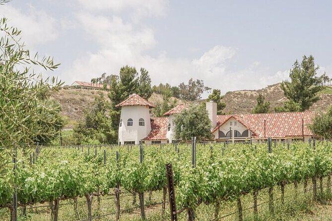 Private Temecula Wine Tour from Fallbrook - Final Thoughts