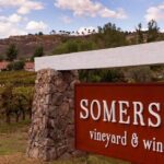 Private Temecula Wine Tour from Irvine - What Sets This Tour Apart