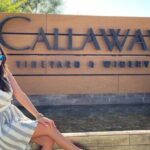 Private Temecula Wine Tour from San Juan Capistrano - A Comprehensive Look at the Temecula Wine Tour