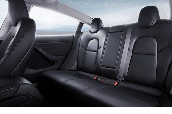 Private Tesla Transfer: Auckland, Tauranga, Rotorua, Taupo - The Journey and Its Highlights