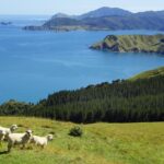 Private The Coromandel Tour - Auckland Tour House - A Detailed Breakdown of the Itinerary
