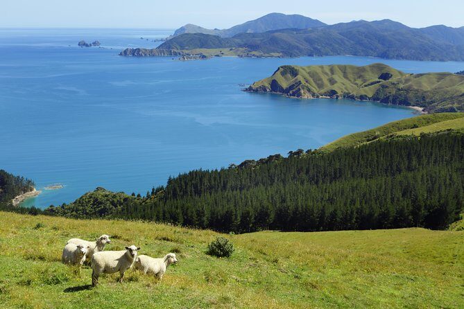 Private The Coromandel Tour - Auckland Tour House - A Detailed Breakdown of the Itinerary