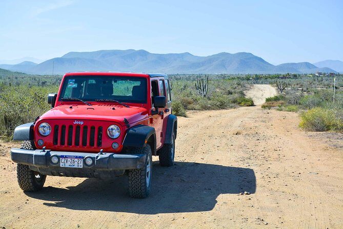 Private Todos Santos Jeep - Is This Tour Worth It?