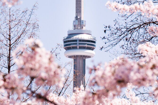 Private Toronto City Tour with Boat and CN Tower - What to Expect: The Practical Details