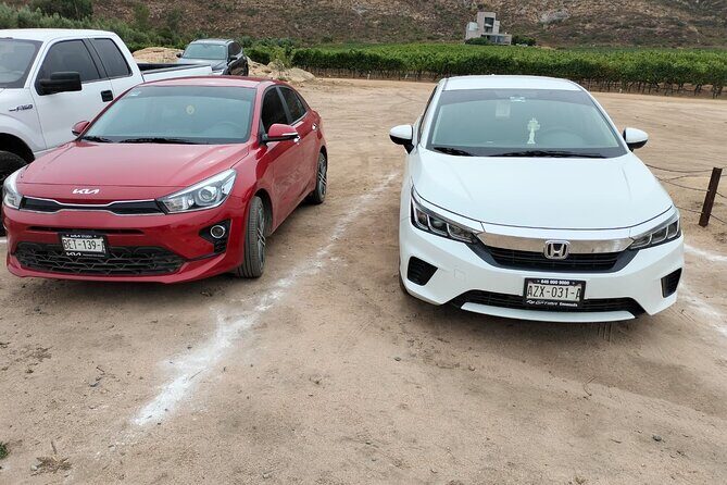 Private tour 6 hours DE 1 - 4 Passengers - What Travelers Love (and What to Consider)