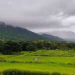 Private Tour: Best of Nadi Highlights - How the Tour Works Day-to-Day