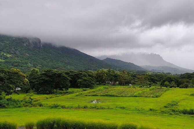 Private Tour: Best of Nadi Highlights - How the Tour Works Day-to-Day